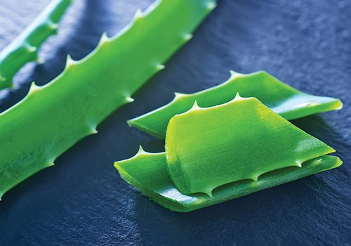 All About Aloe | WholeFoods Magazine