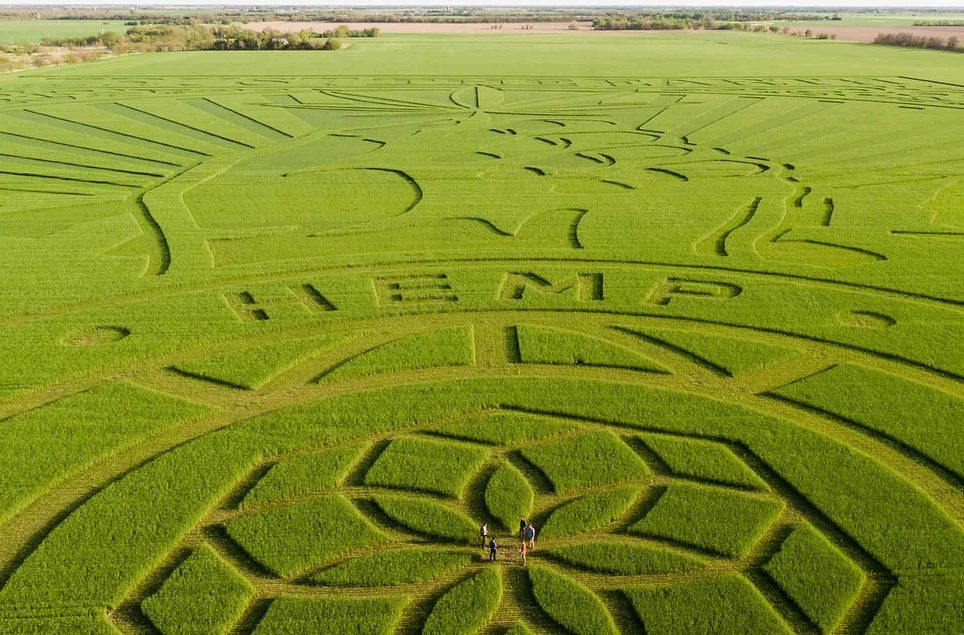 Trust the Earth Campaign Unveils Massive Art Installation | WholeFoods ...