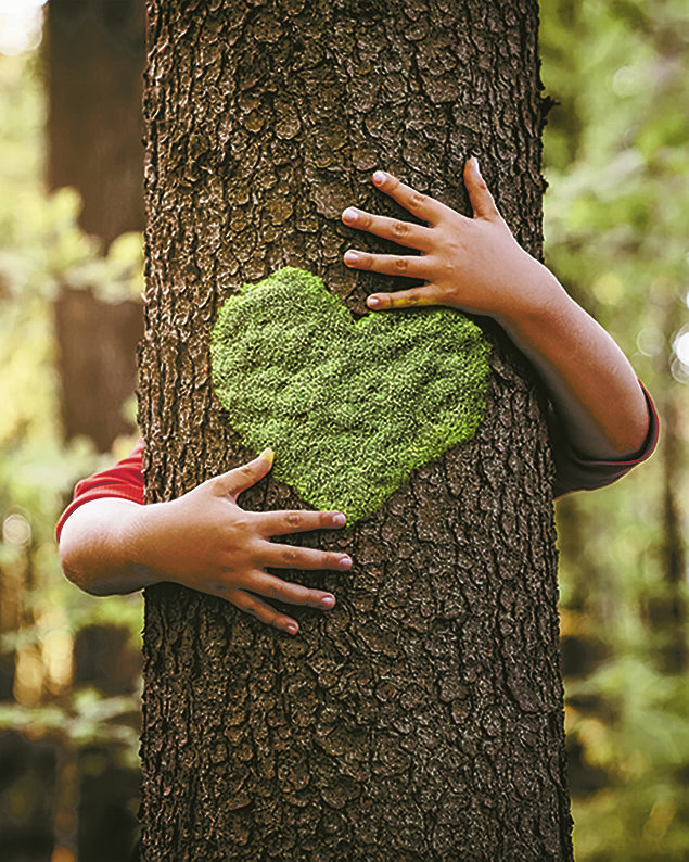 Presenting Your Comprehensive Guide to the Natural Products Industry ...