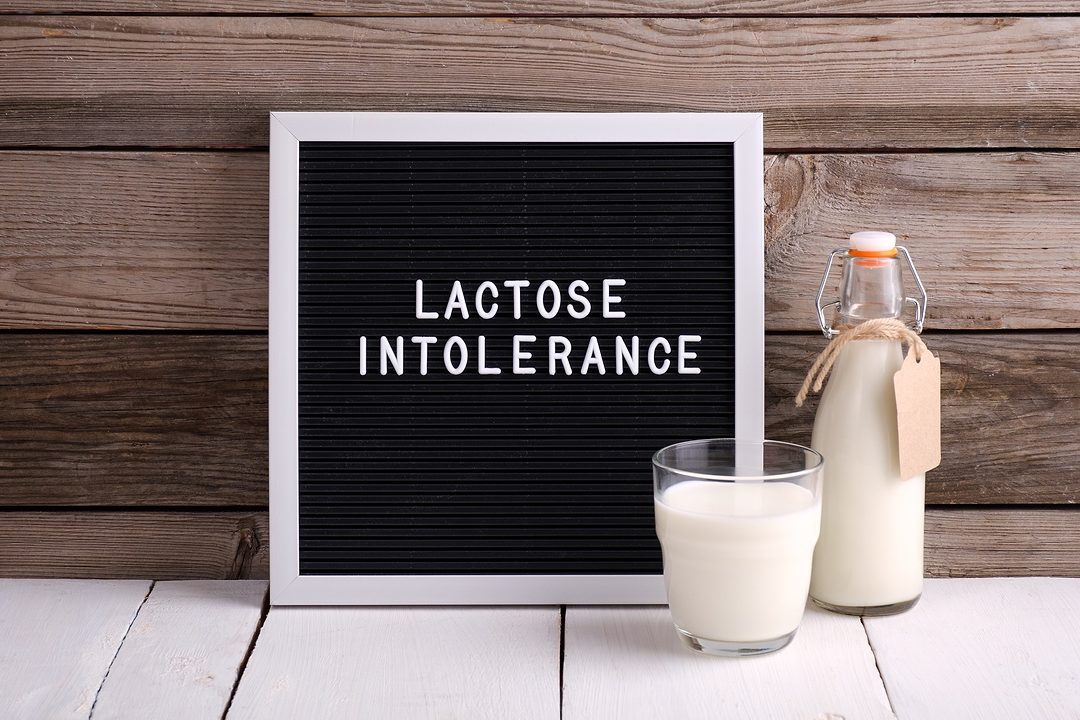 Probiotics and Prebiotics: Addressing Lactose Intolerance | WholeFoods ...