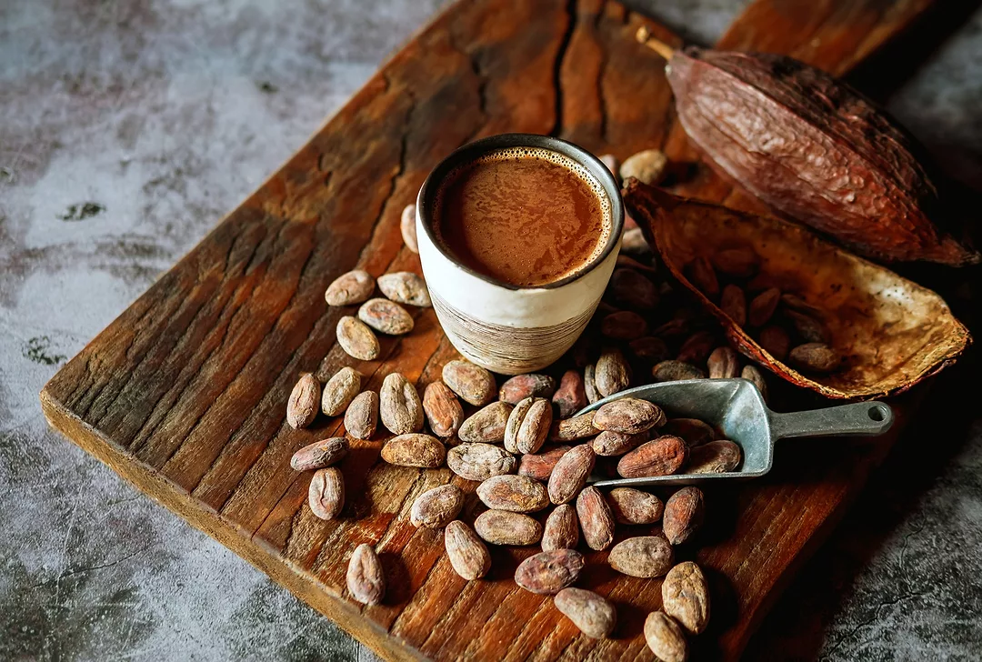 Cocoa’s Surprising Role in Boosting Gut Health | WholeFoods Magazine